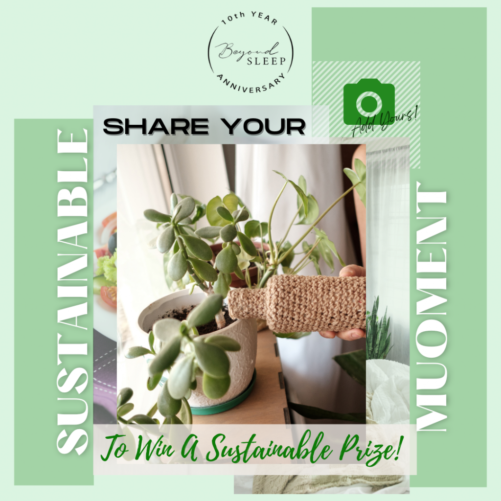 Share Your Sustainable Moment To Win A Sustainable Prize - Beyond Sleep